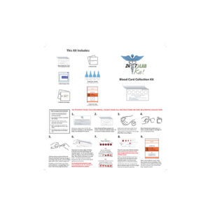 247Labkit Comprehensive Kit | 247Labkit